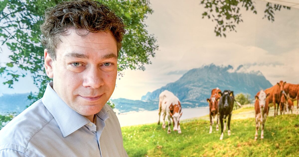 Nytt samarbeid om cybersikkerhet i matbransjen – Næringslivets ...
